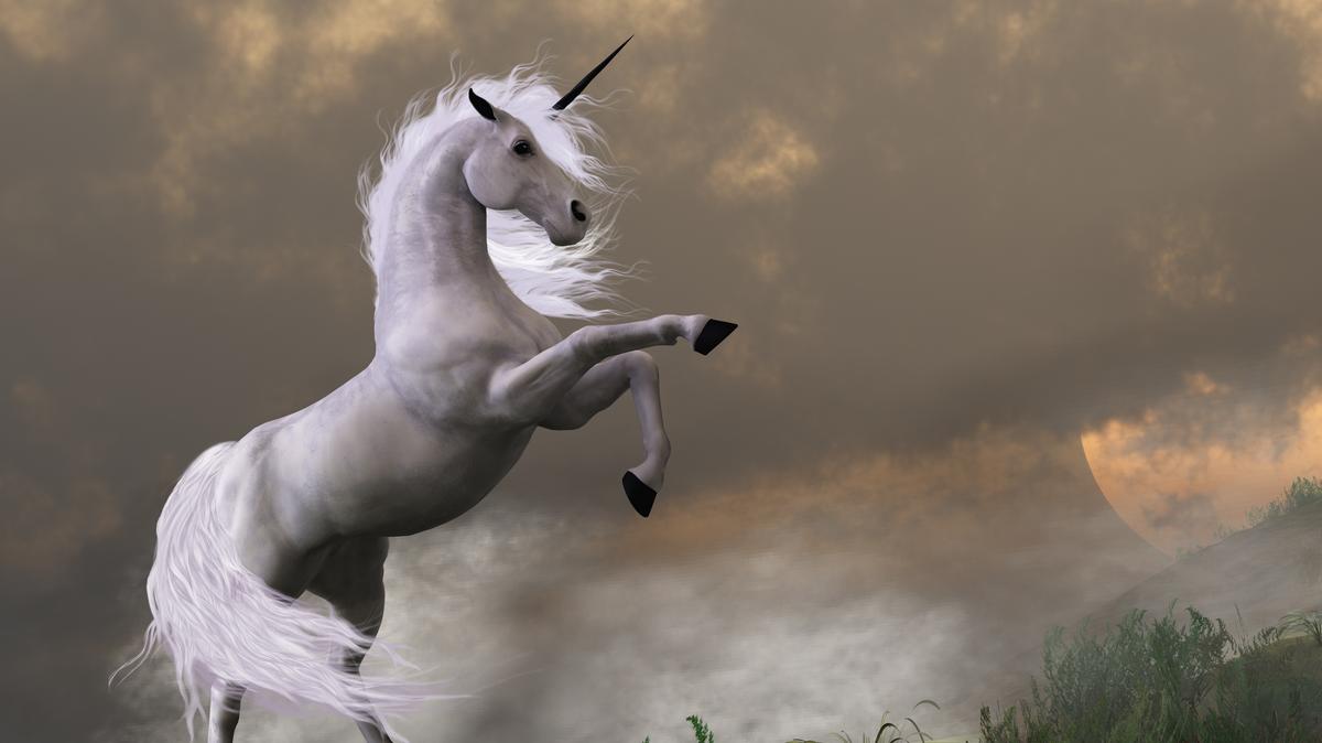 In The Age Of Unicorns What Do Startup Valuations Really Mean San In The Age Of Unicorns What Do Startup Valuations Really Mean San