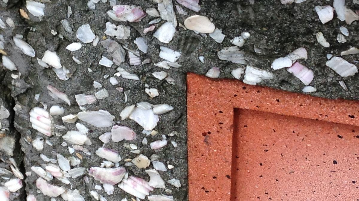 Third clue: Can you guess this week's 'I Spy' puzzle? - Tampa Bay ...