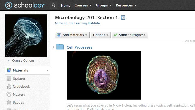 Education technology startup Schoology scores $32M in Series D - New York Business Journal