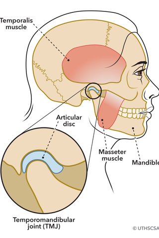 TMJ (Temporomandibular Joint) Disorders: Symptoms And More, 58% OFF