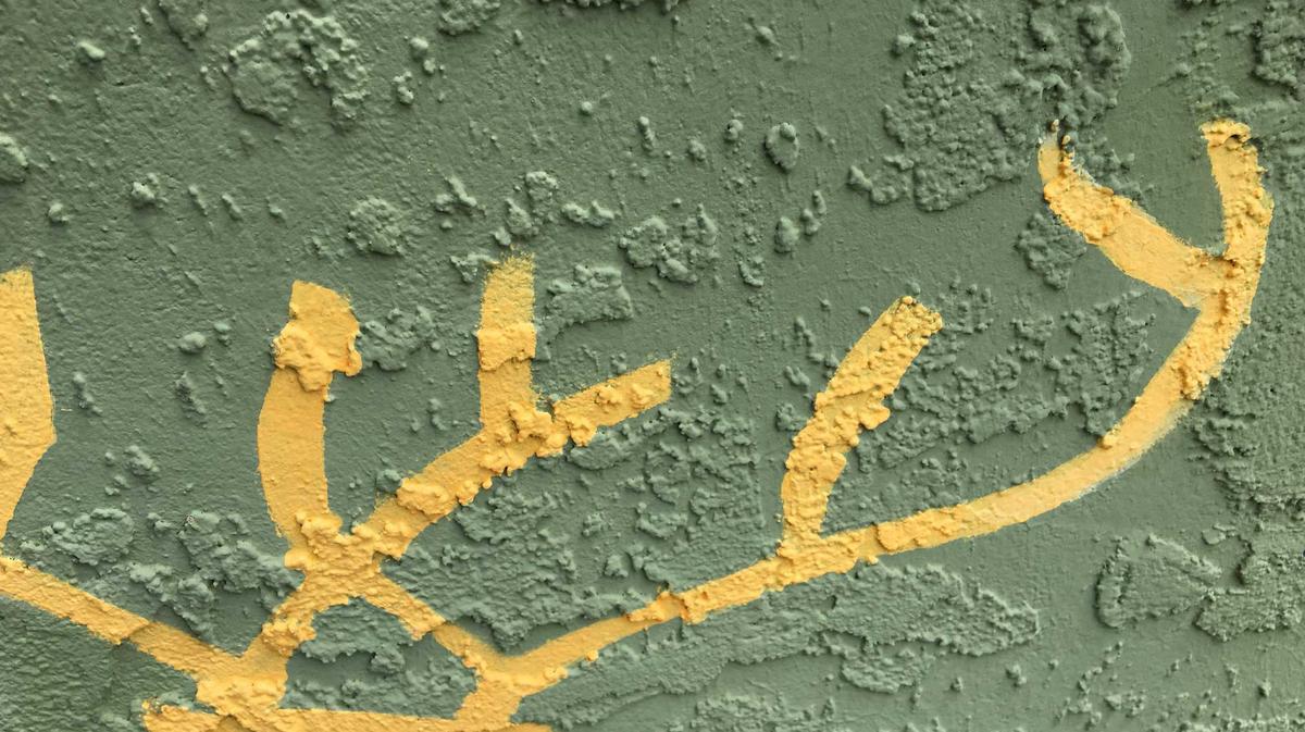 Can you guess the 'I Spy' puzzle this week? - Tampa Bay Business Journal