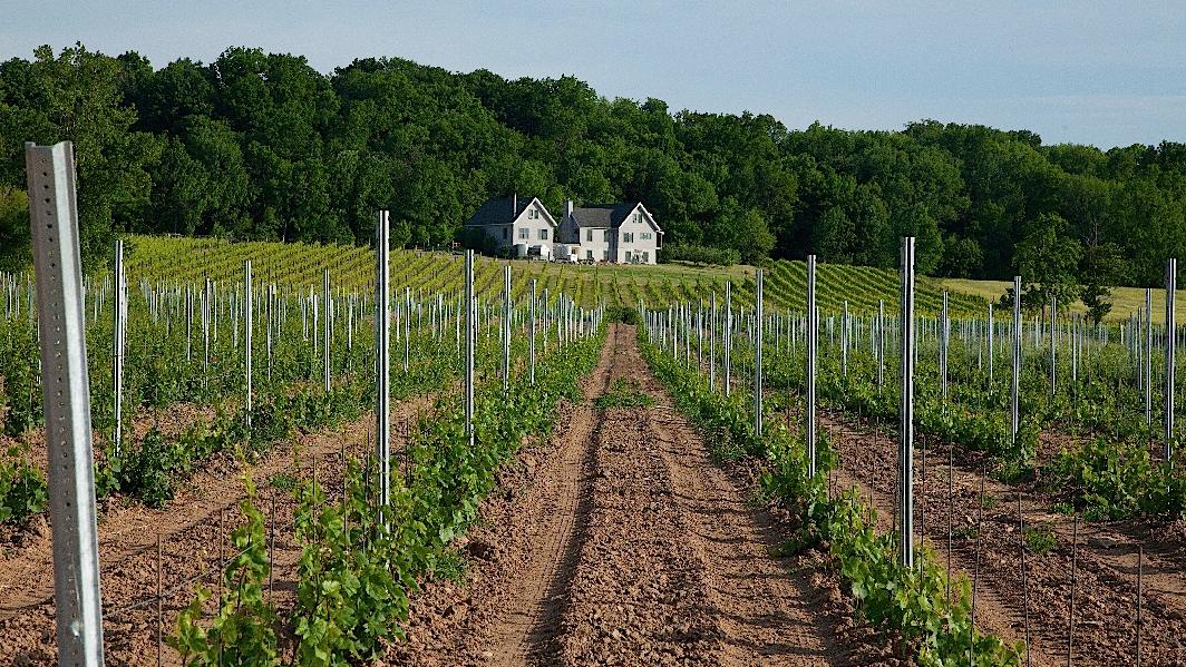 Arrowhead Spring Vineyards deal doubles its vineyards - Buffalo ...
