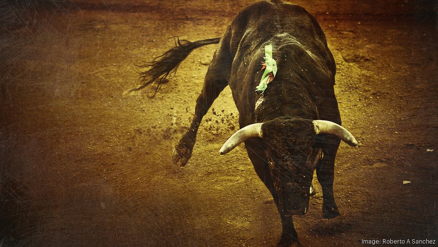 How to take the bull by the horns and get your life back - The Business ...