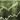 Capstone Title is one of Austin's Best Places to Work - Austin Business ...