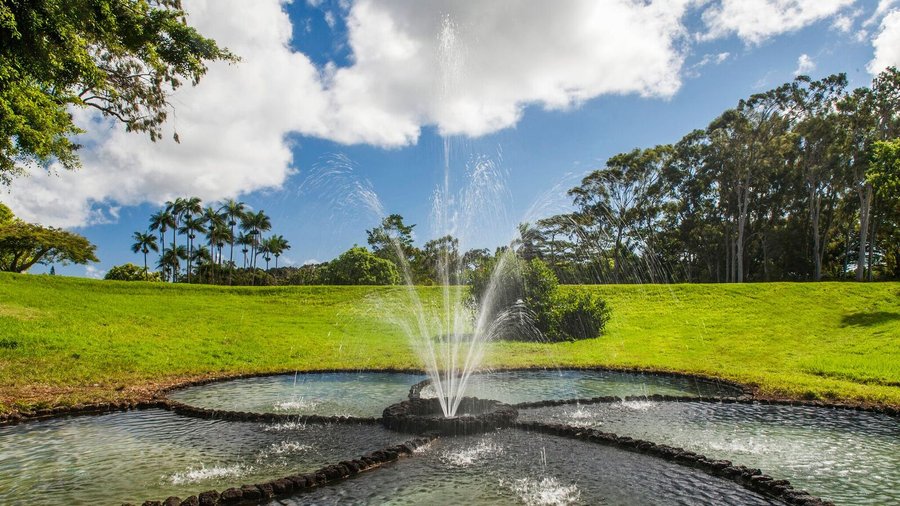 Historic Kauai estate, Maui ranch in Hawaii to be sold at auction by ...