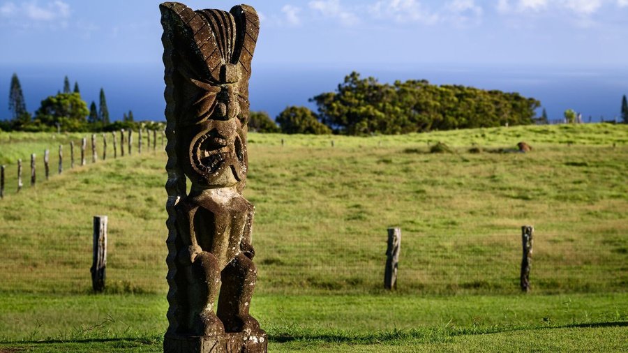 Historic Kauai estate, Maui ranch in Hawaii to be sold at auction by ...