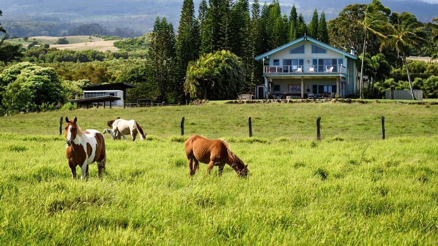 Historic Kauai estate, Maui ranch in Hawaii to be sold at auction by ...
