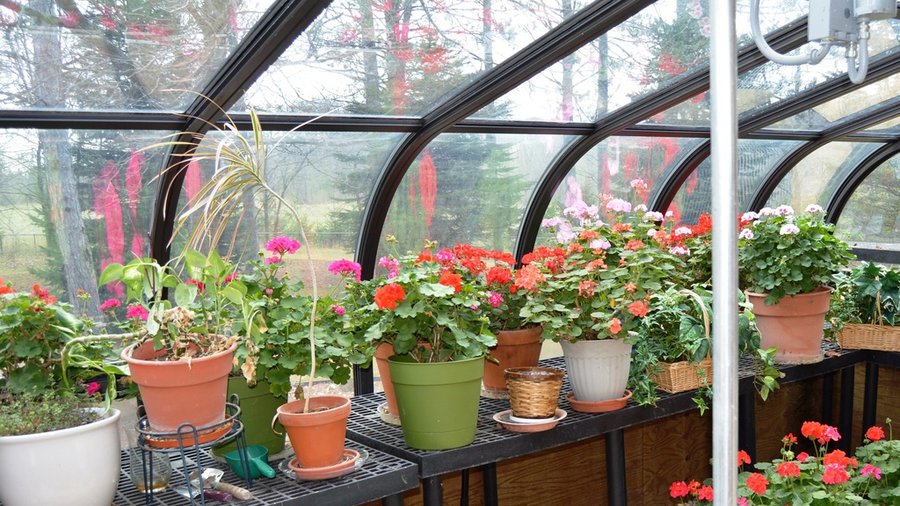 Open House: 'Stunning' timber home in Saukville takes you 'up north ...