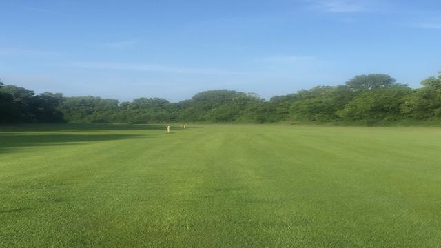 Mirimichi golf course in Millington just debuted Mirimichi Turf Farm ...