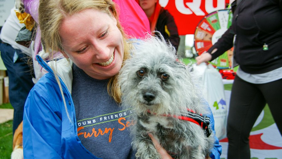 Good Works: Furry Scurry raises $940K for homeless pets - Denver ...