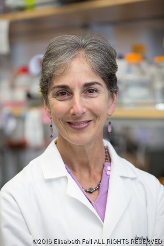 UCSF nabs $85M from NIH to boost translational and precision medicine ...