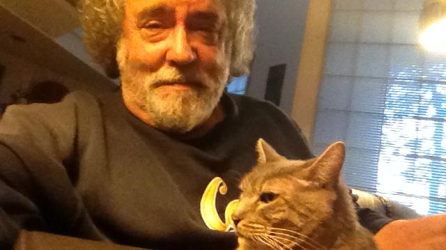 Ed Goldman: Hiding my cat’s food may solve…nothing - Sacramento ...