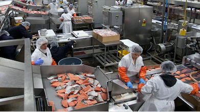 Details of big new warehouse on Weyerhaeuser's Federal Way campus ...