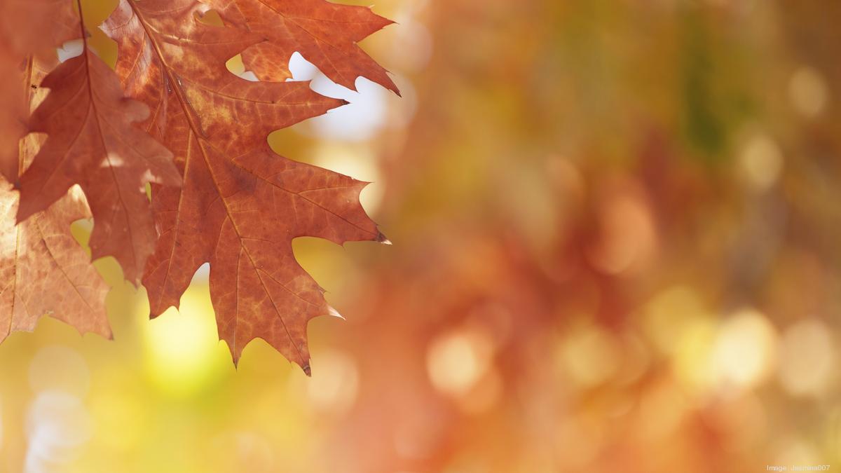 National Geographic named Albuquerque one of its top best fall escapes ...