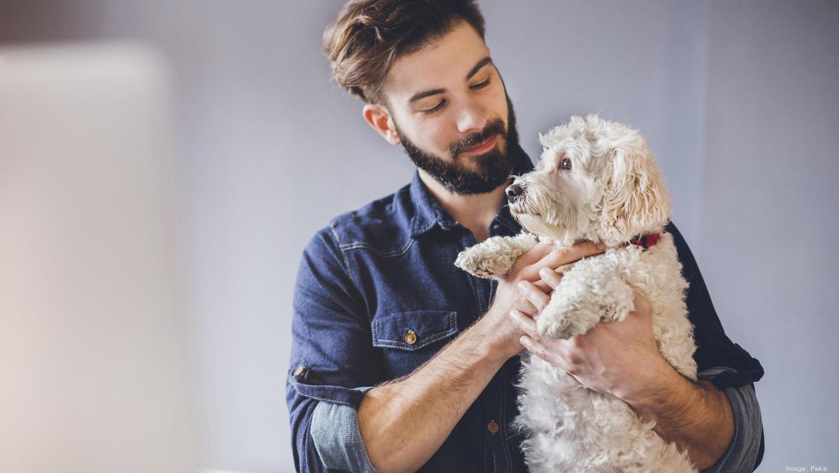 Mark Vittert's Reflections: Cats, dogs and anchormen - St. Louis ...