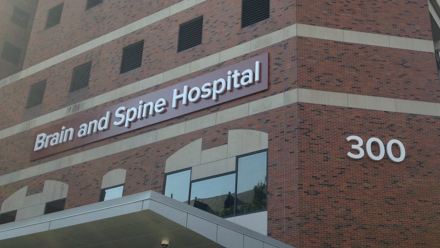 Osu Spine And Brain