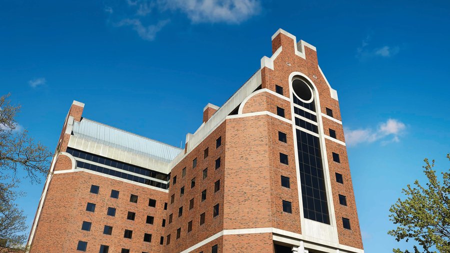 Osu Spine And Brain