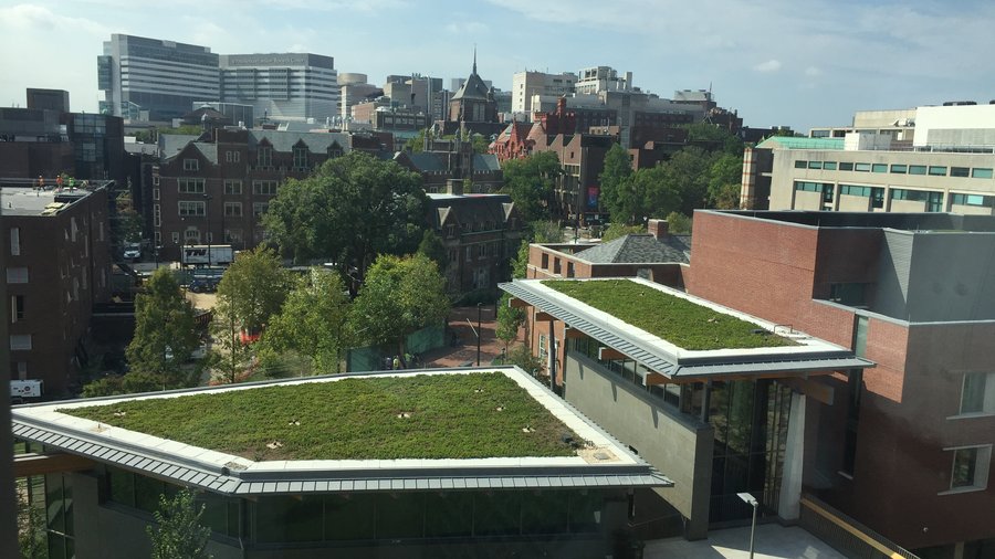 Why Philadelphia's green stormwater infrastructure is smart policy and ...