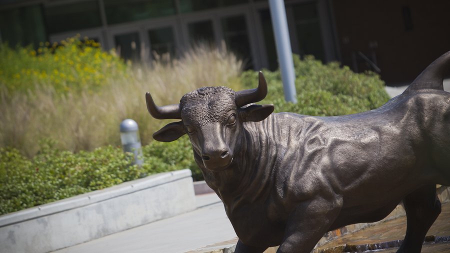 USF graduate programs land on the 2020 Best Graduate Schools ranking ...