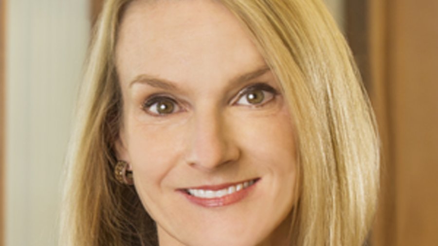 New Phelps Dunbar practice group leader brings unusual niche to real ...