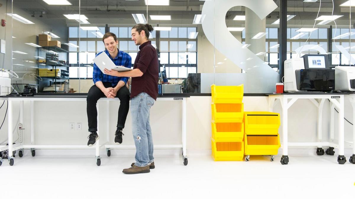 A look inside the factory where Ginkgo Bioworks makes living organisms ...