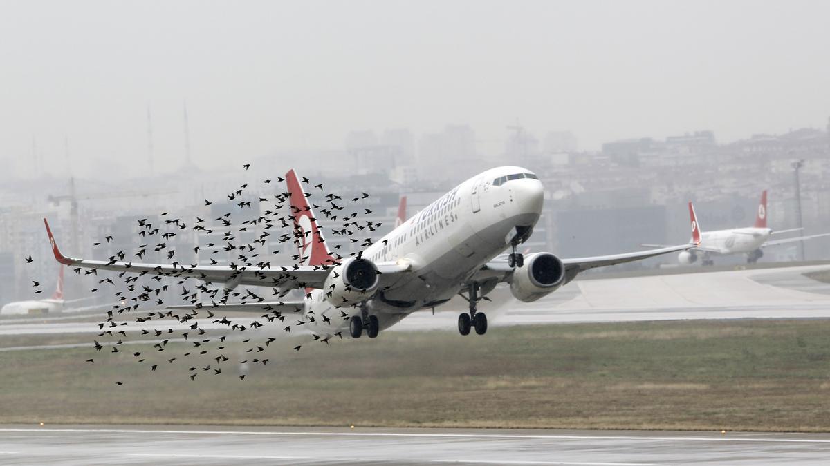 An Oregon company takes aim at the bird strikes that made 'Sully ...