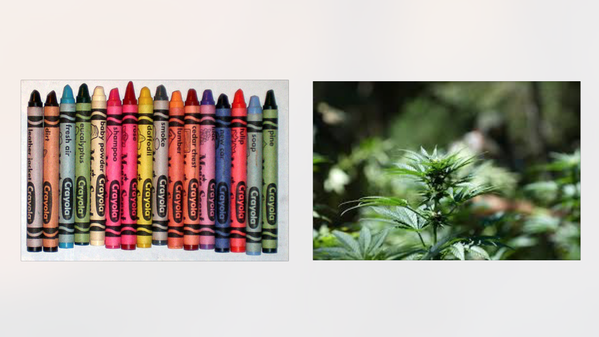 Is it a crayon? Or is it marijuana? Take our quiz - Boston Business Journal