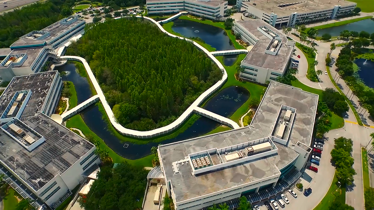 Why WellCare Health Plans is keeping its corporate headquarters in ...