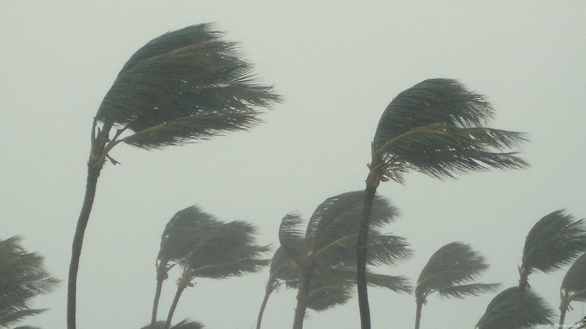 Orlando Government Leaders Prep For Possible Hurricane Nicole Orlando