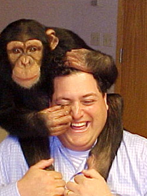 Kim Ressler's Instagram, Twitter & Facebook on IDCrawl