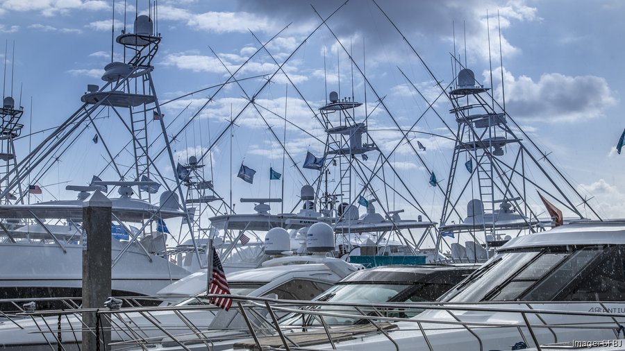 FLIBS