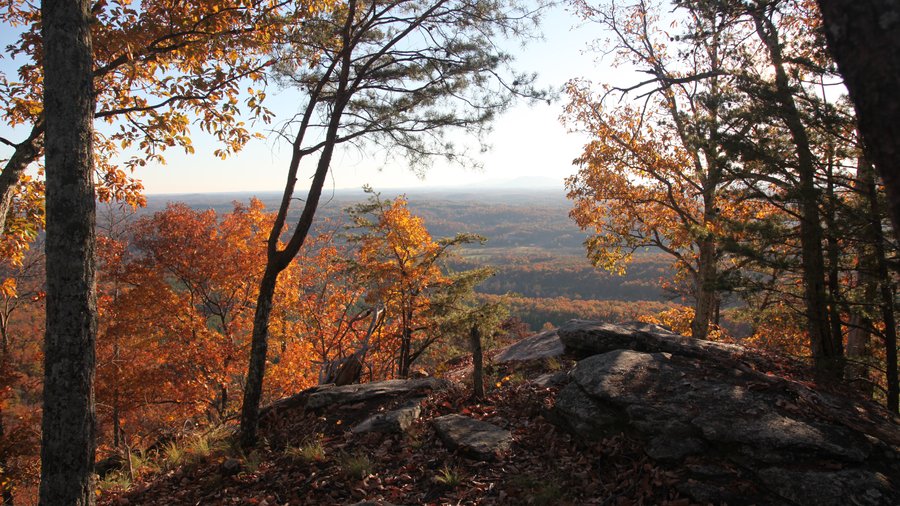 Autumn View Box Creek