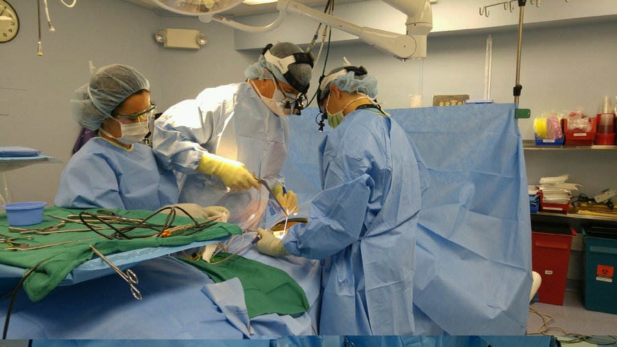 Rothman Institute forms orthopedic partnership with Capital Health in ...