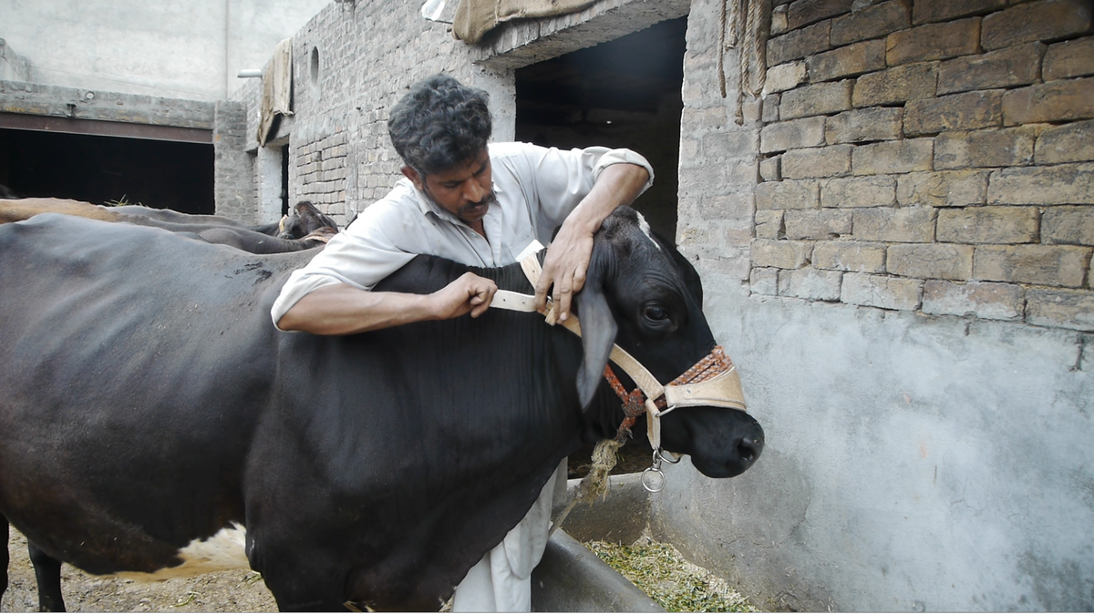 AgLaunch participants prepare for life after accelerator - Memphis ...