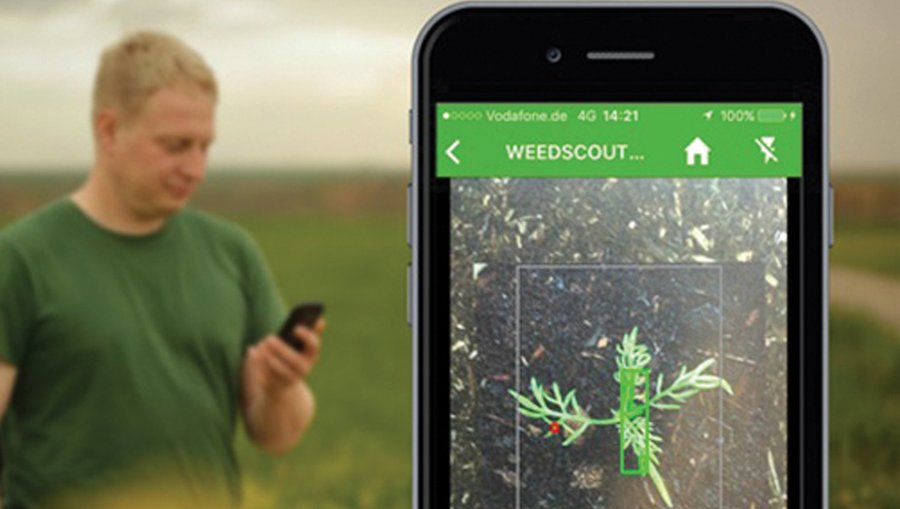 New Bayer ag tech app helps identify pests and weeds - Kansas City ...