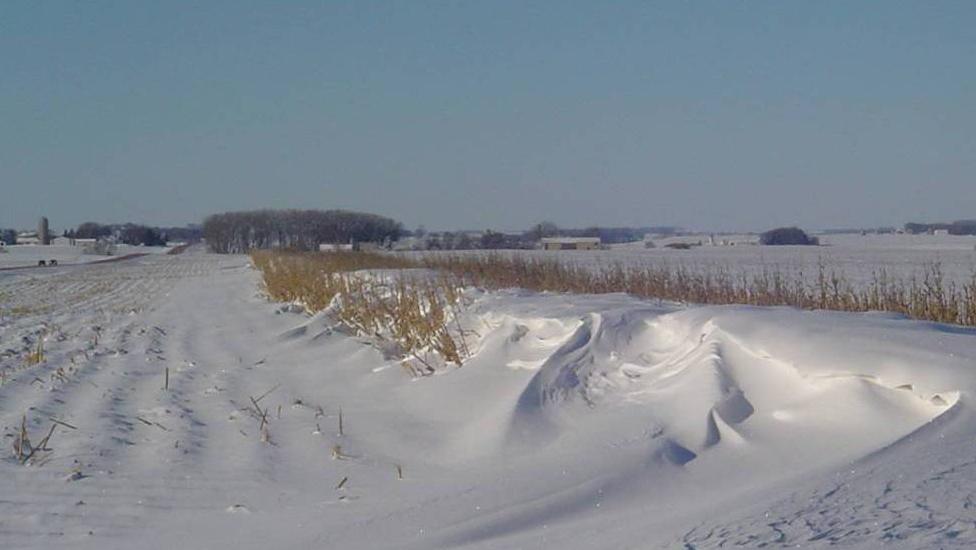 Franklin County's Cornstalks for Snow Fence program paying farmers ...