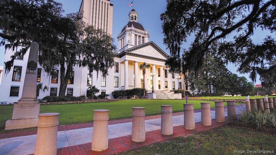 Florida Senate committee approves ban on local DEI policies - Orlando ...