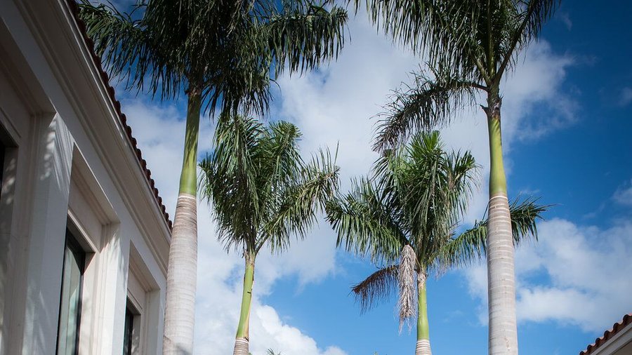 CC Residential, Praedium Group build 850 Boca apartments in Boca Raton ...