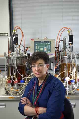 Marrone Bio stock jumps 24 percent as sales increase - Sacramento ...