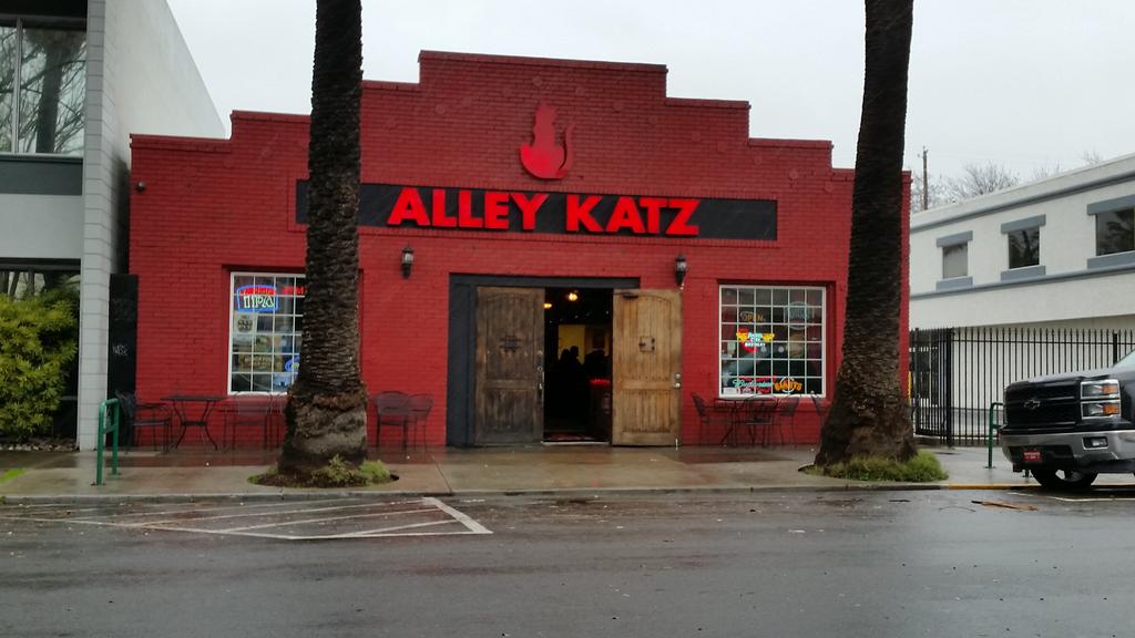 Ally Katz Telegraph