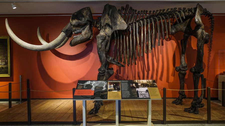 Maryland historical society 2