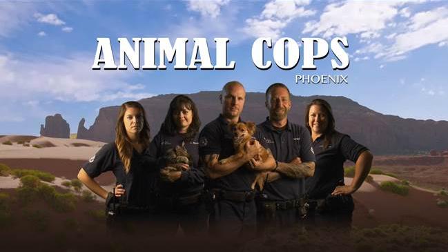Arizona Humane Society to be featured on televisions show 'Animal Cops ...