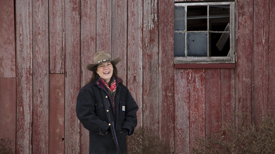 St. Louis Character: Judith Hennessey lassos a career in writing after ...