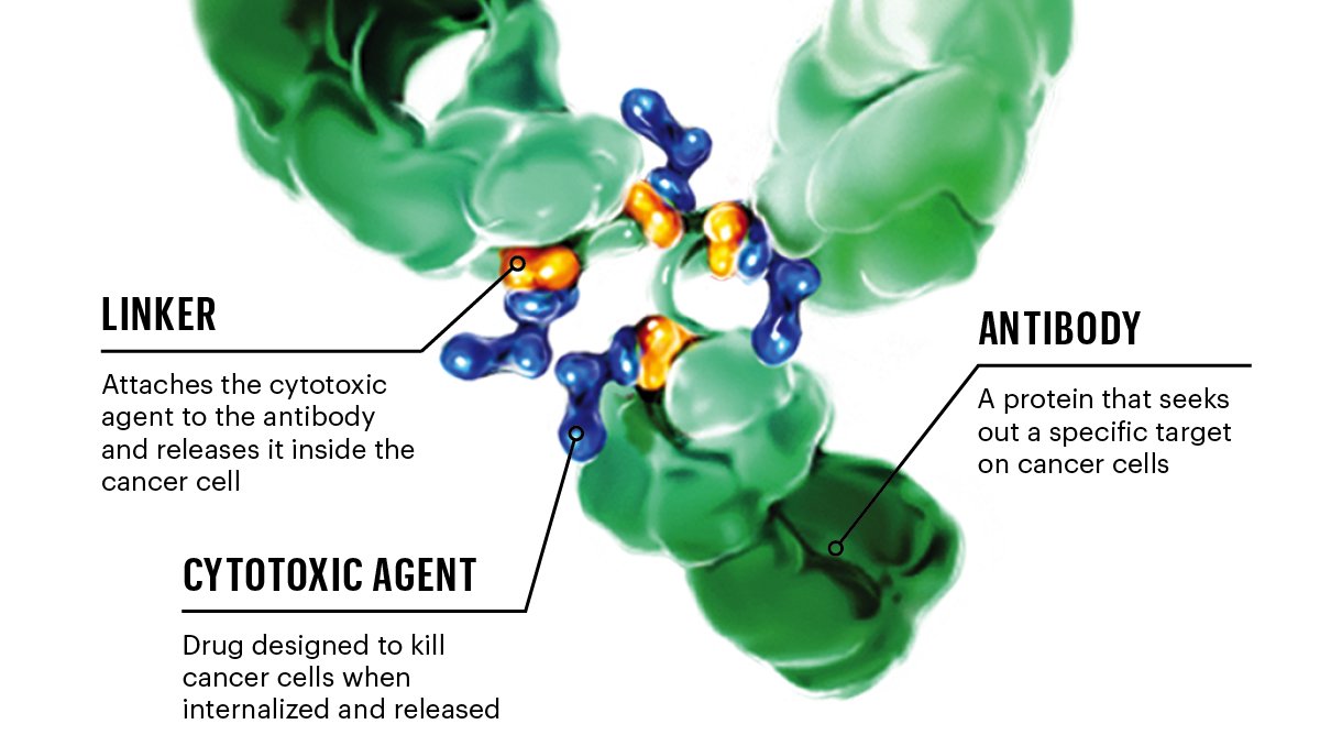 Seattle Genetics CEO charts path to becoming Washington's biggest ...