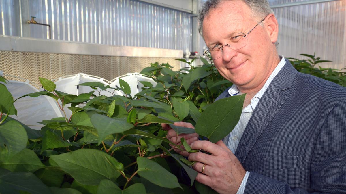 Marrone Bio preparing to sell to the cannabis industry - Sacramento ...