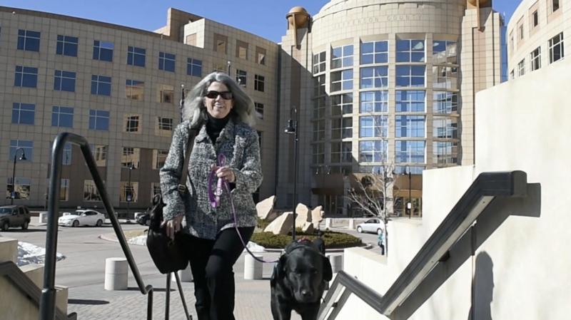 How she's using therapy dogs in courthouses - Bizwomen