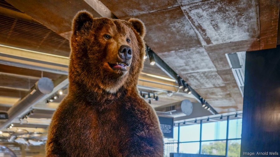 Sneak peek: Yeti Coolers' first store at Austin's nexus of new and hip ...