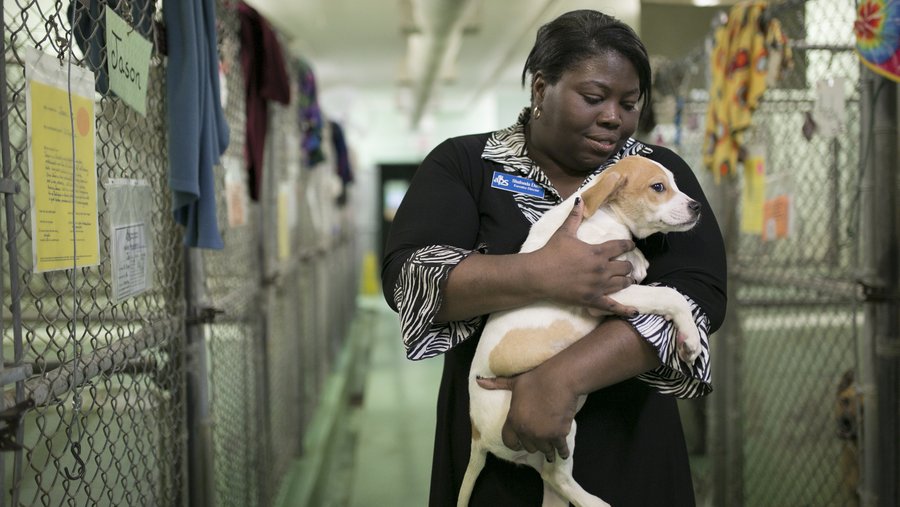 A Better World: They find a home for Durham’s animals - Triangle ...