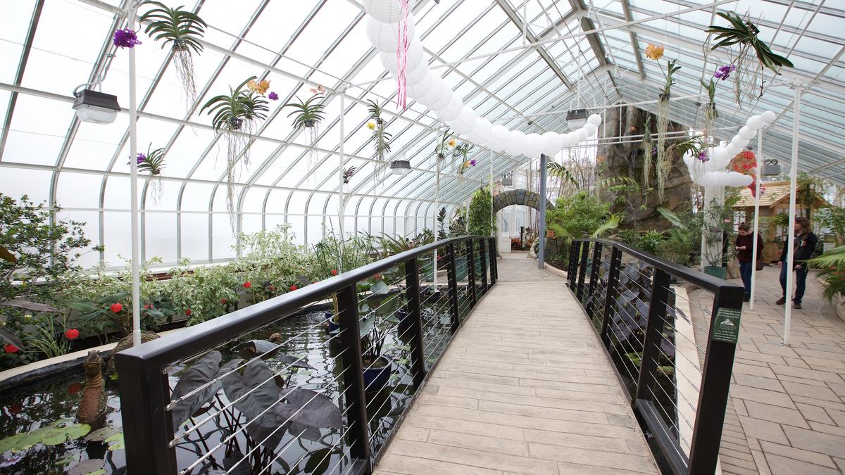 Buffalo and Erie County Botanical Gardens considers major expansion ...