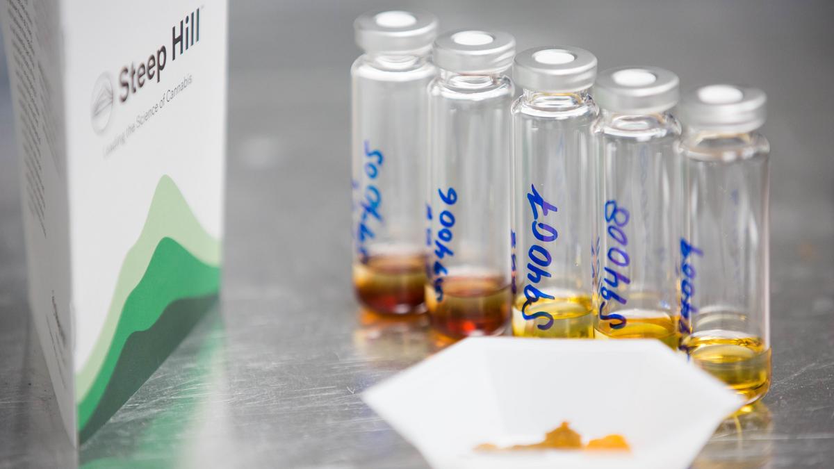 Low-dose marijuana edibles, Trump, weed testing, regulations lead top ...